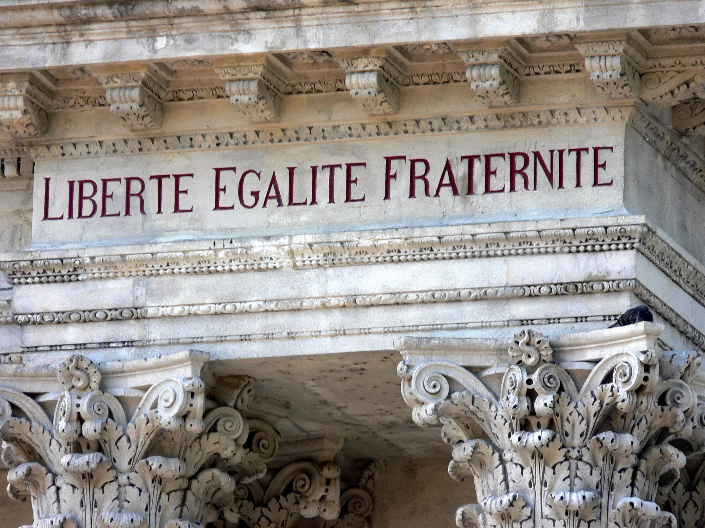 Mission d'information sur l'application de la loi du 24 août 2021 ...