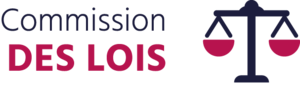 Application des lois commissions 2019 | Sénat